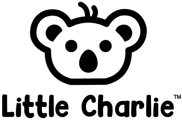 Stylish baby shoes for your little one – Little Charlie